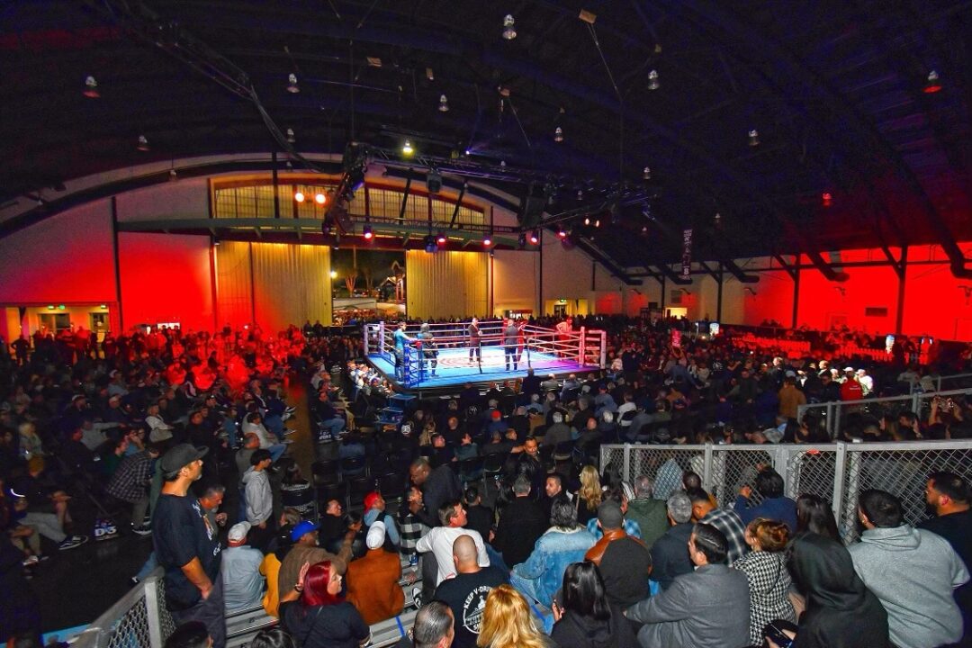 SocaFights | A Night of Boxing, MMA, KOs and… SWORD FIGHTS!