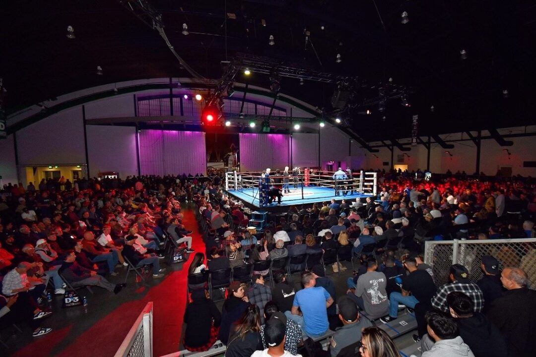 Bruisers, Brawling and a Fight Club OC First! | SOCA Fights