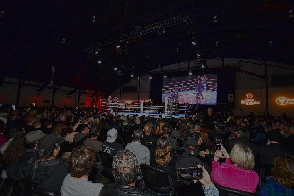 SocaFights | 7 Bouts on August Fight Club OC Show
